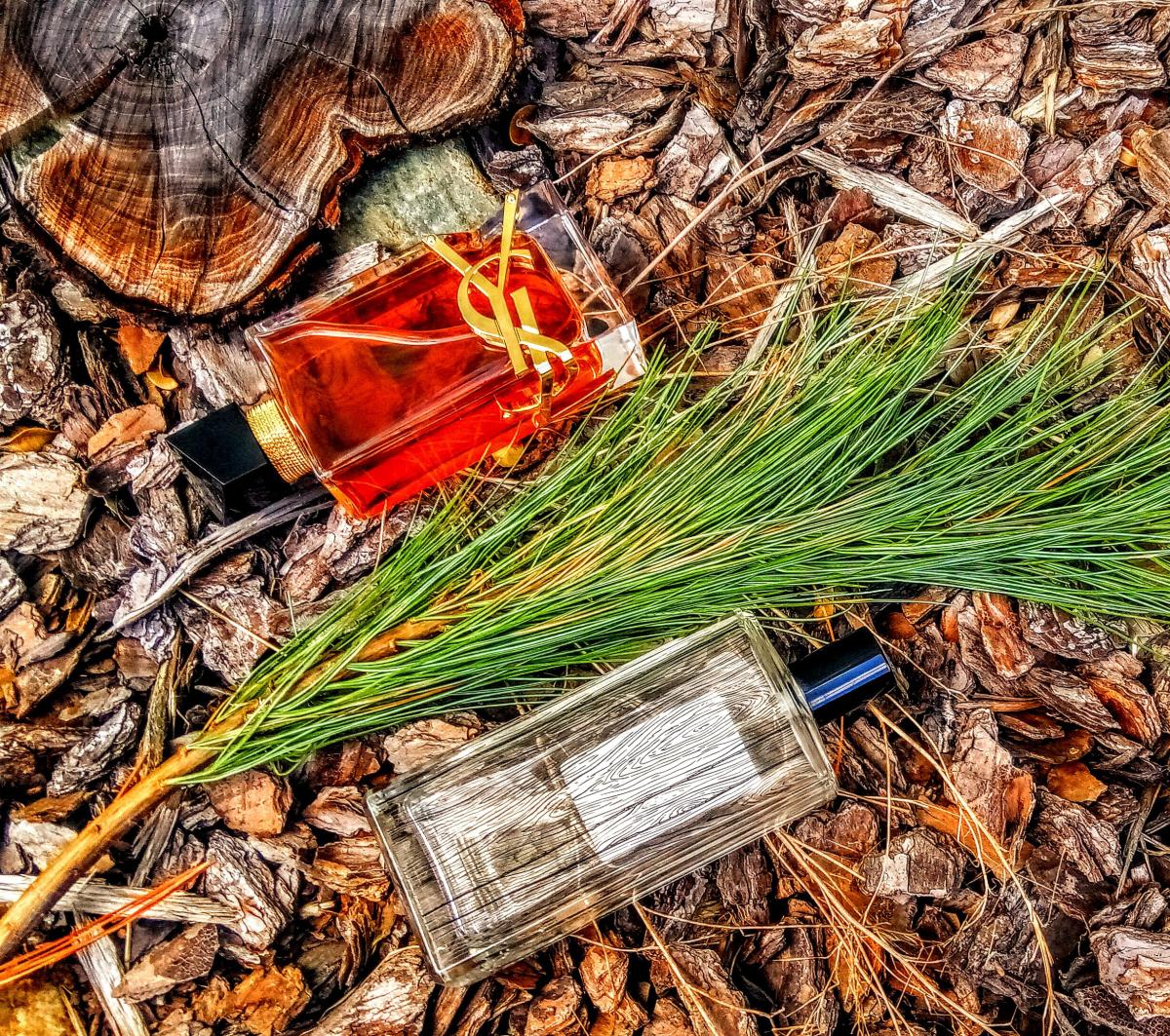 Arz el-rab Parfums Berdoues perfume - a fragrance for women and men 2015