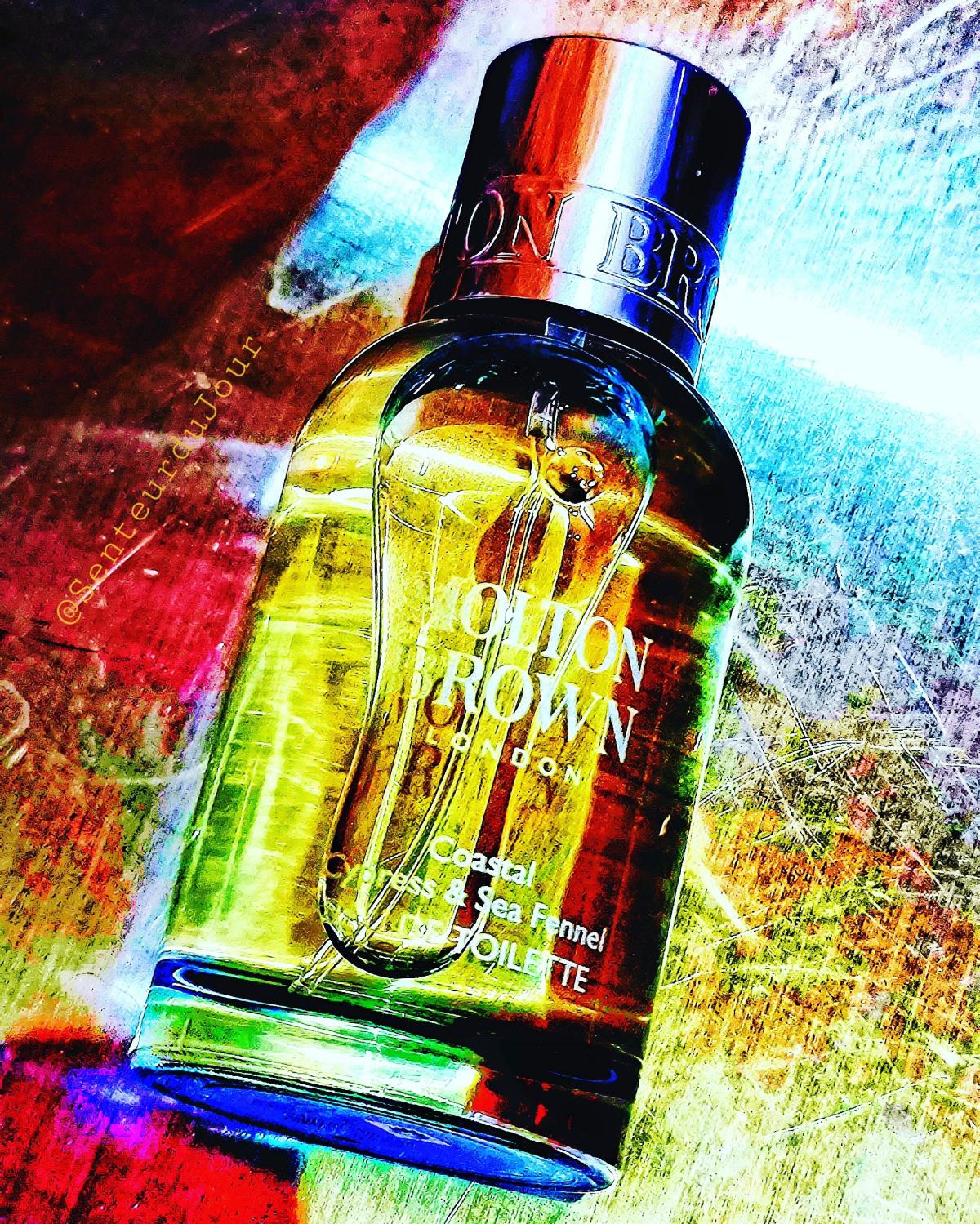 Coastal Cypress & Sea Fennel Molton Brown perfume - a fragrance for ...