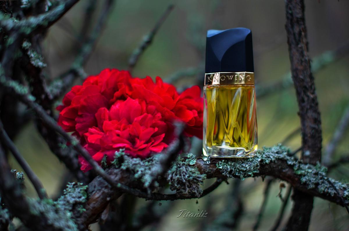 Knowing Estée Lauder perfume - a fragrance for women 1988
