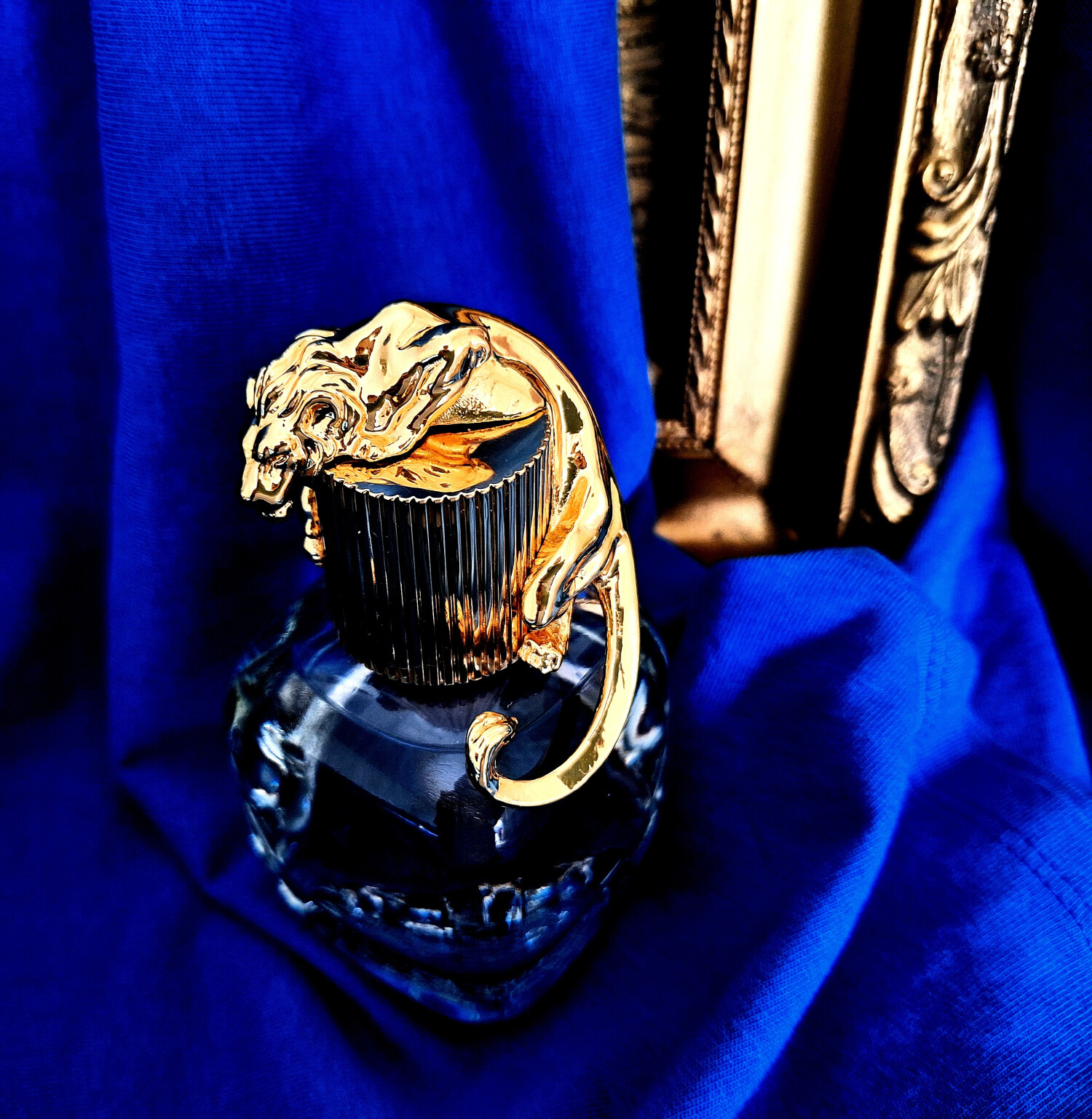 Brave Aristocrazy perfume - a fragrance for women 2019