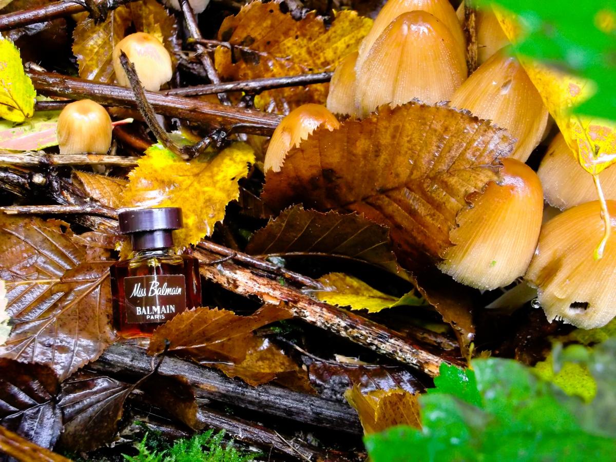 Miss Balmain Pierre Balmain perfume - a fragrance for women 1967