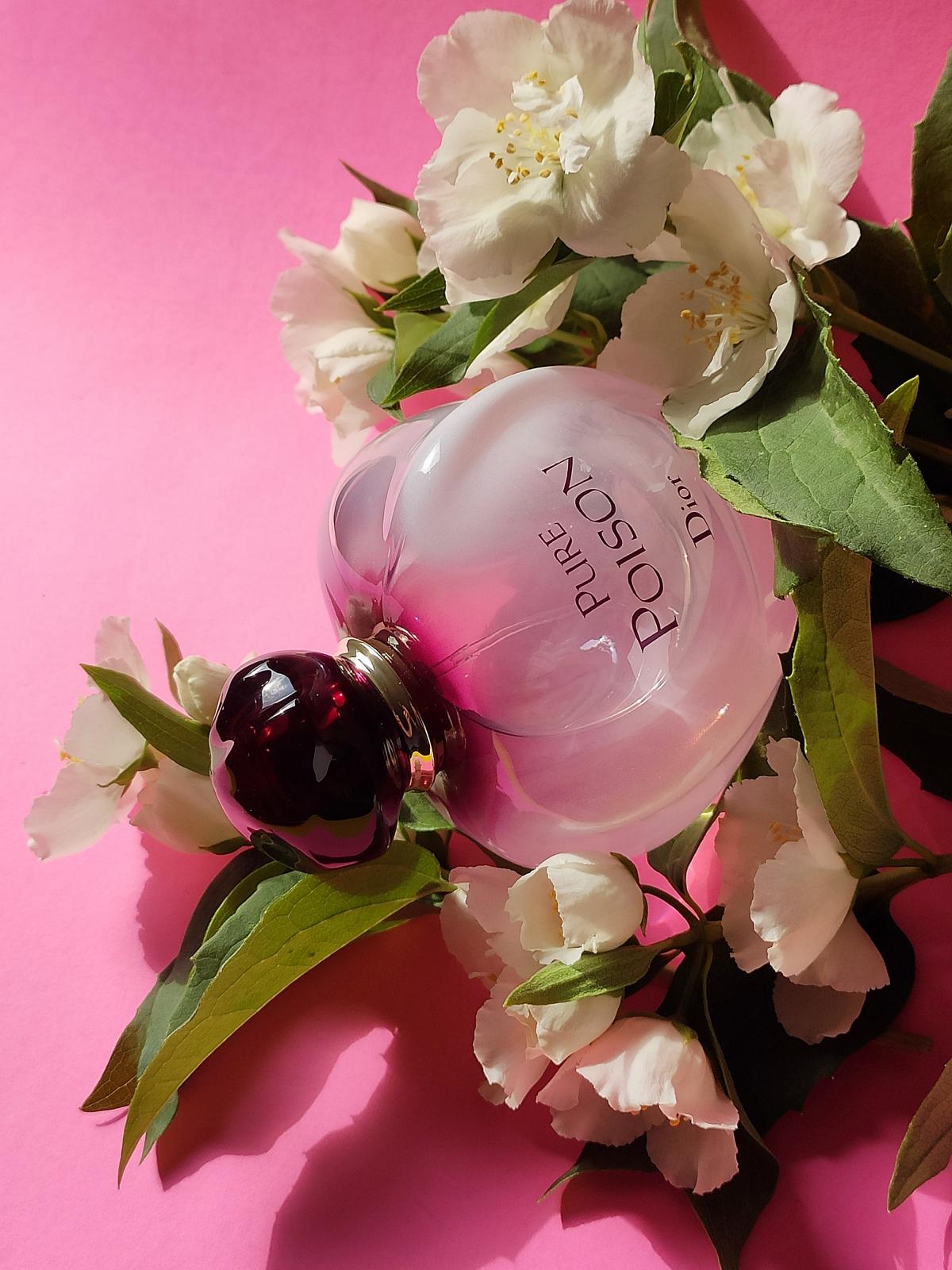 Pure Poison Dior perfume - a fragrância Feminino 2004