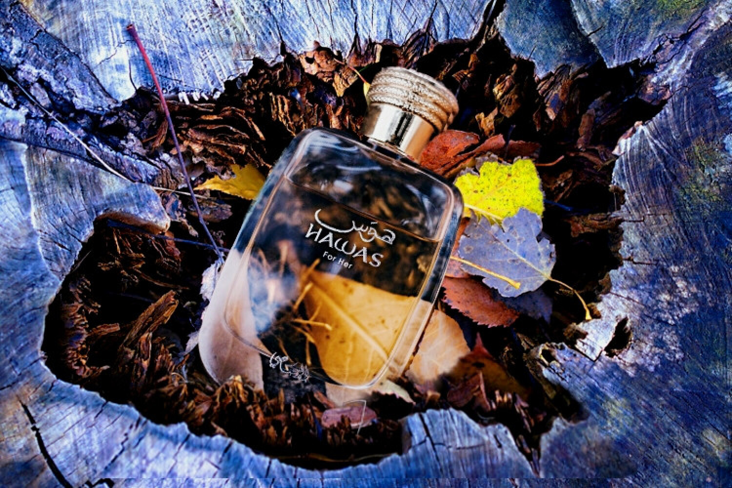Hawas for Him Rasasi cologne - a fragrance for men 2015