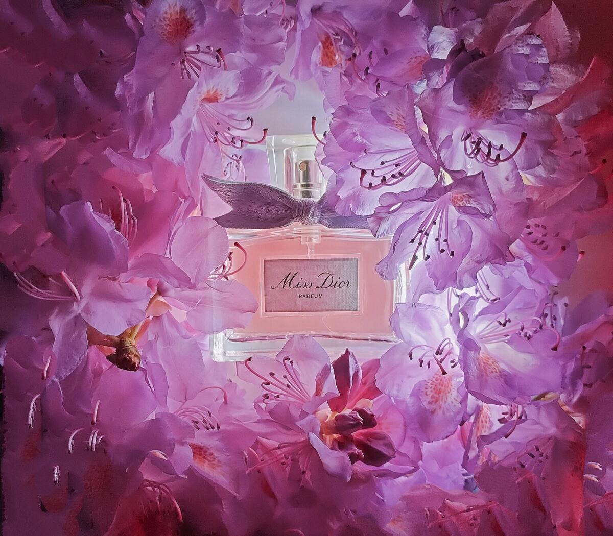 Miss Dior Parfum (2024) Dior Parfum - ein neues Parfum für Frauen 2024