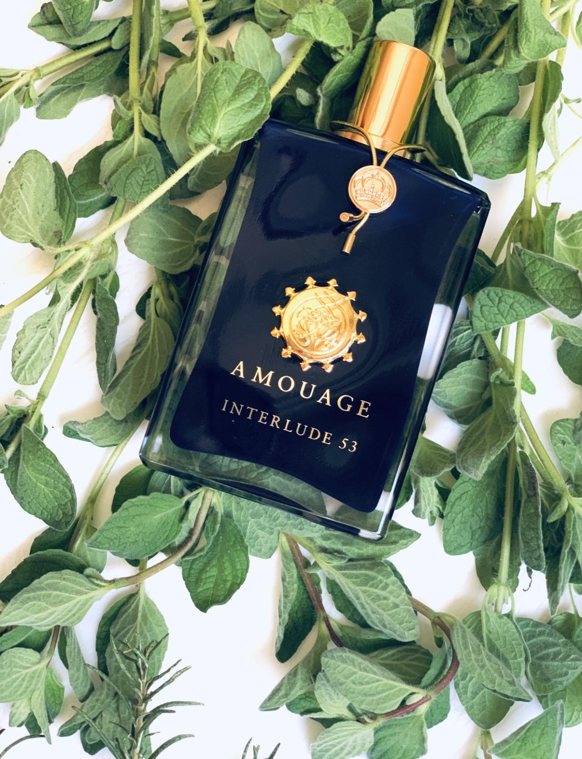 Interlude 53 Man Amouage cologne - a fragrance for men 2020