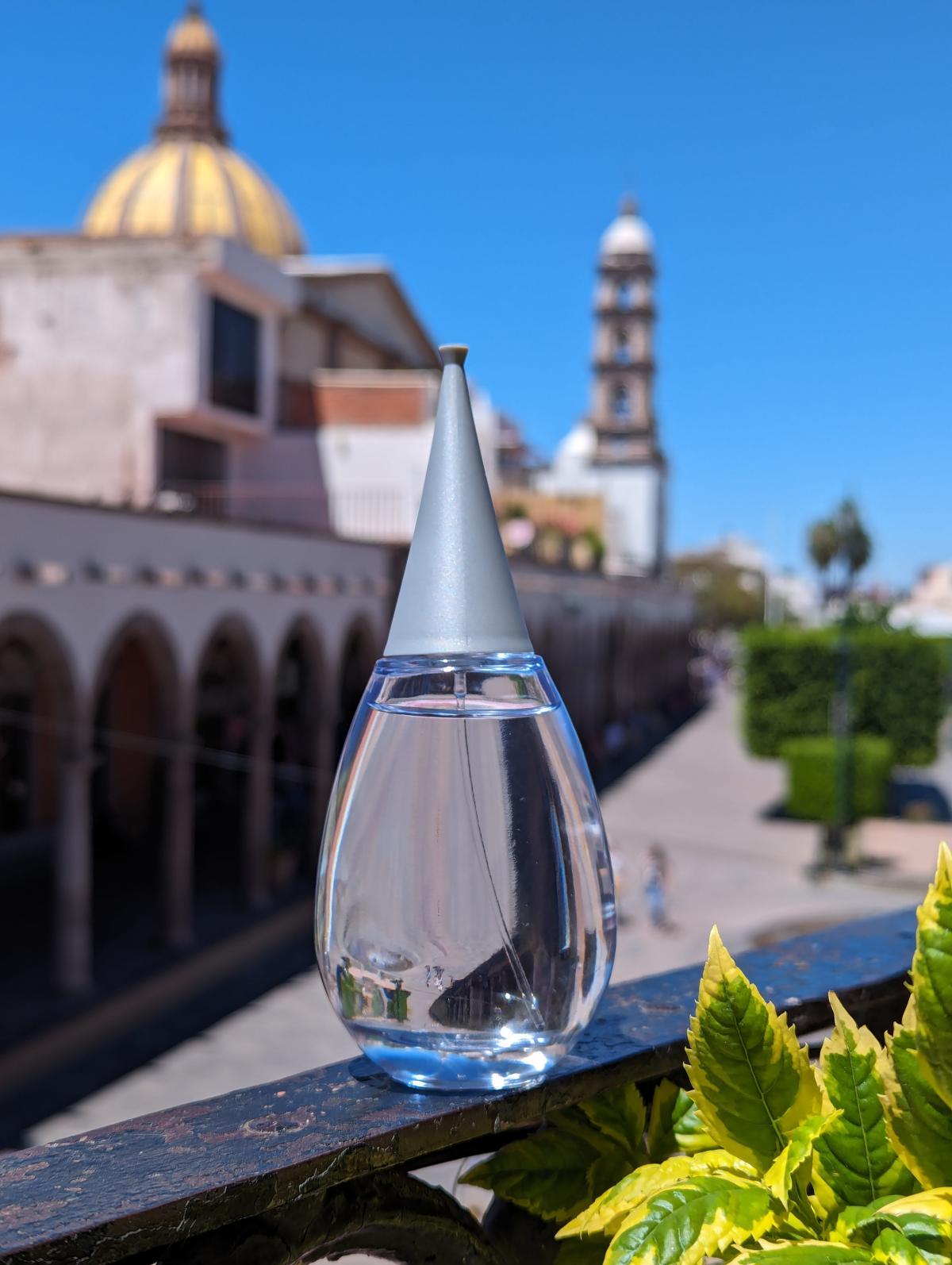 Shi Alfred Sung perfume - a fragrance for women 2000