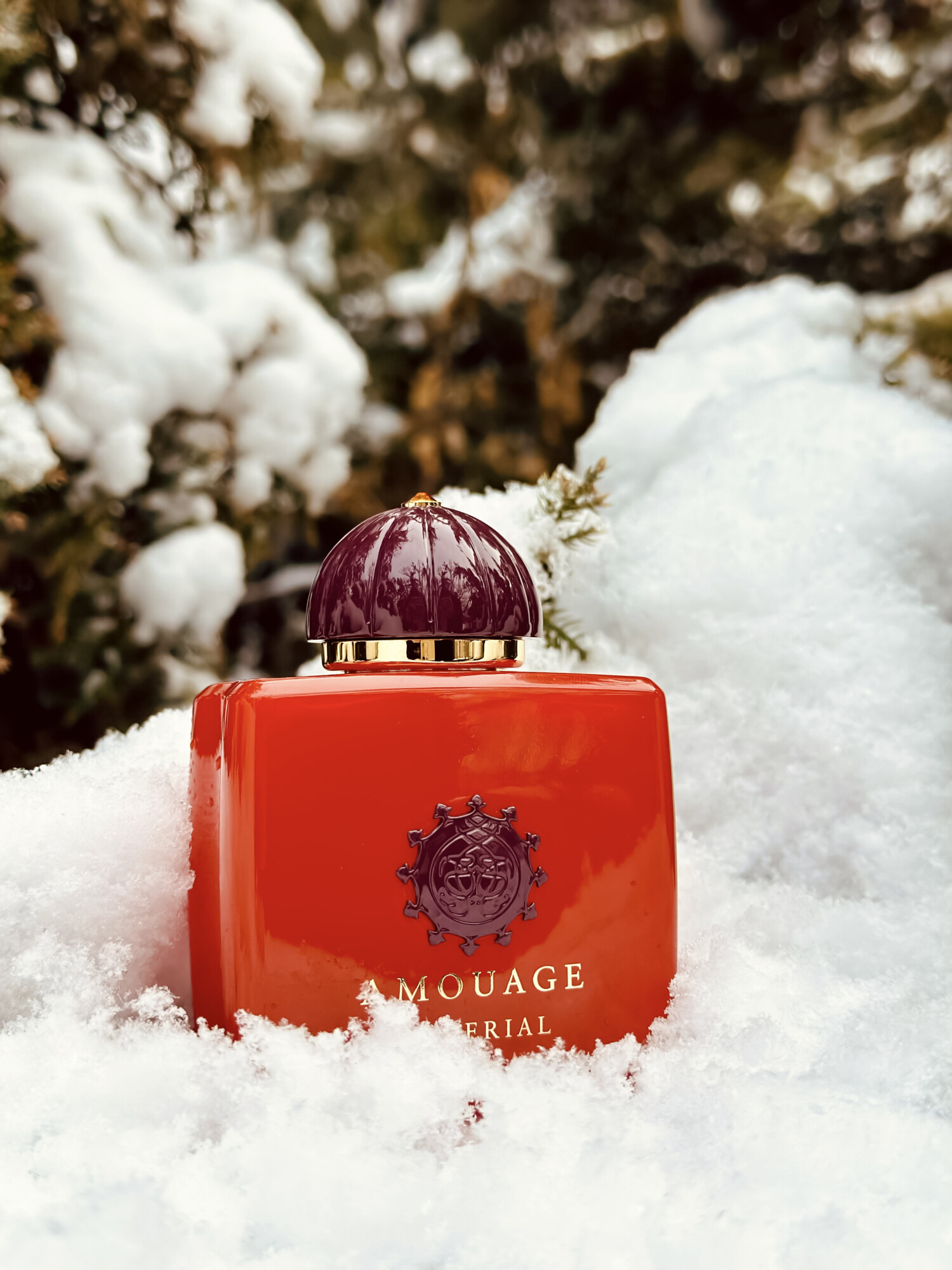Material Amouage perfume - a fragrance for women and men 2021