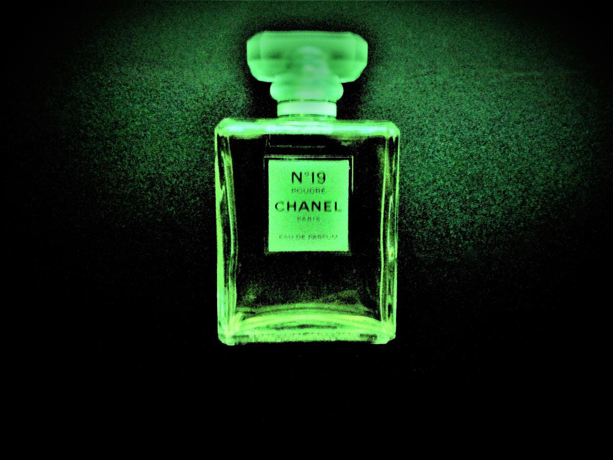 Chanel No 19 Poudre Chanel perfume - a fragrance for women 2011