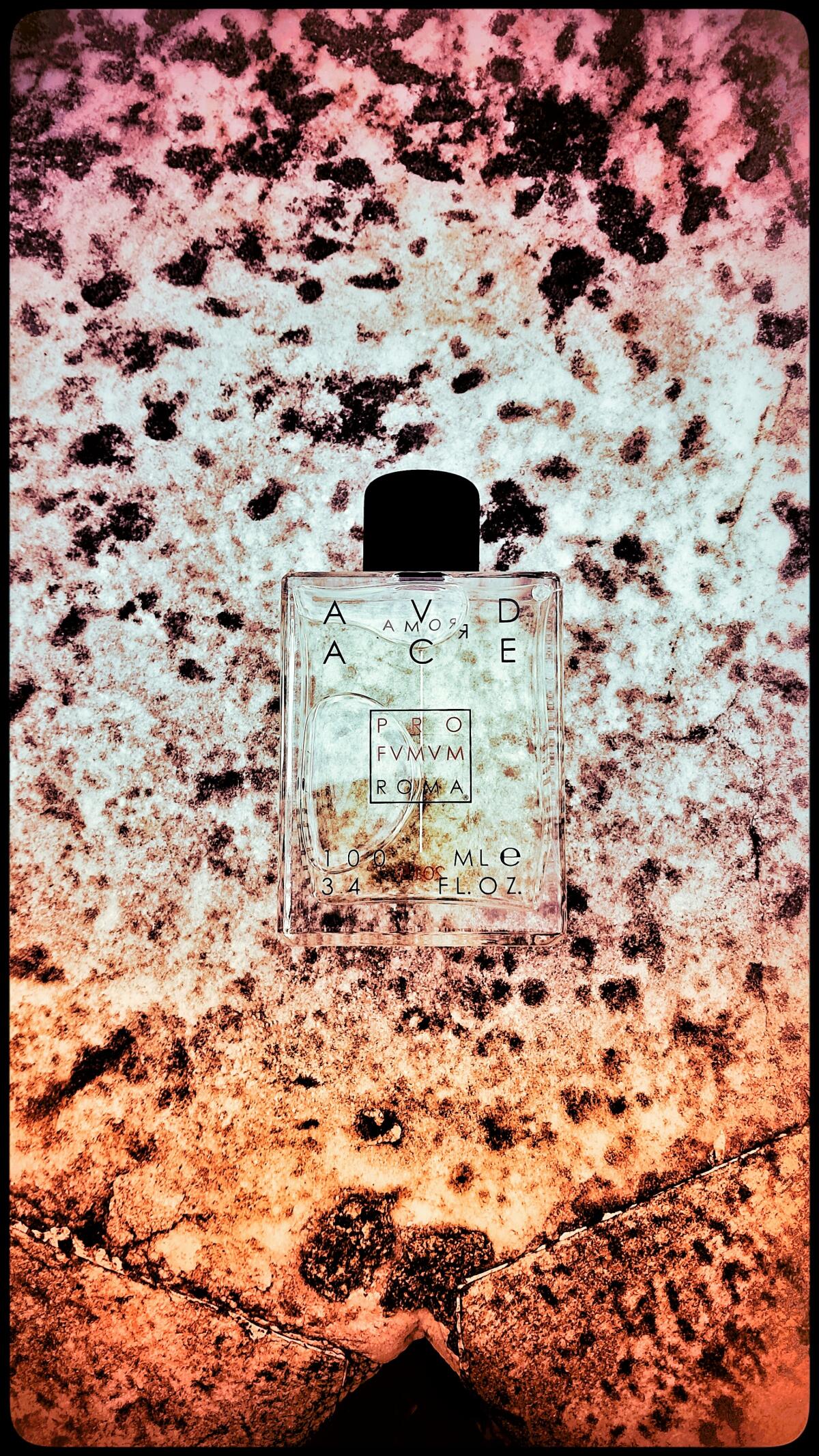 Audace Profumum Roma perfume - a fragrance for women and men 2015