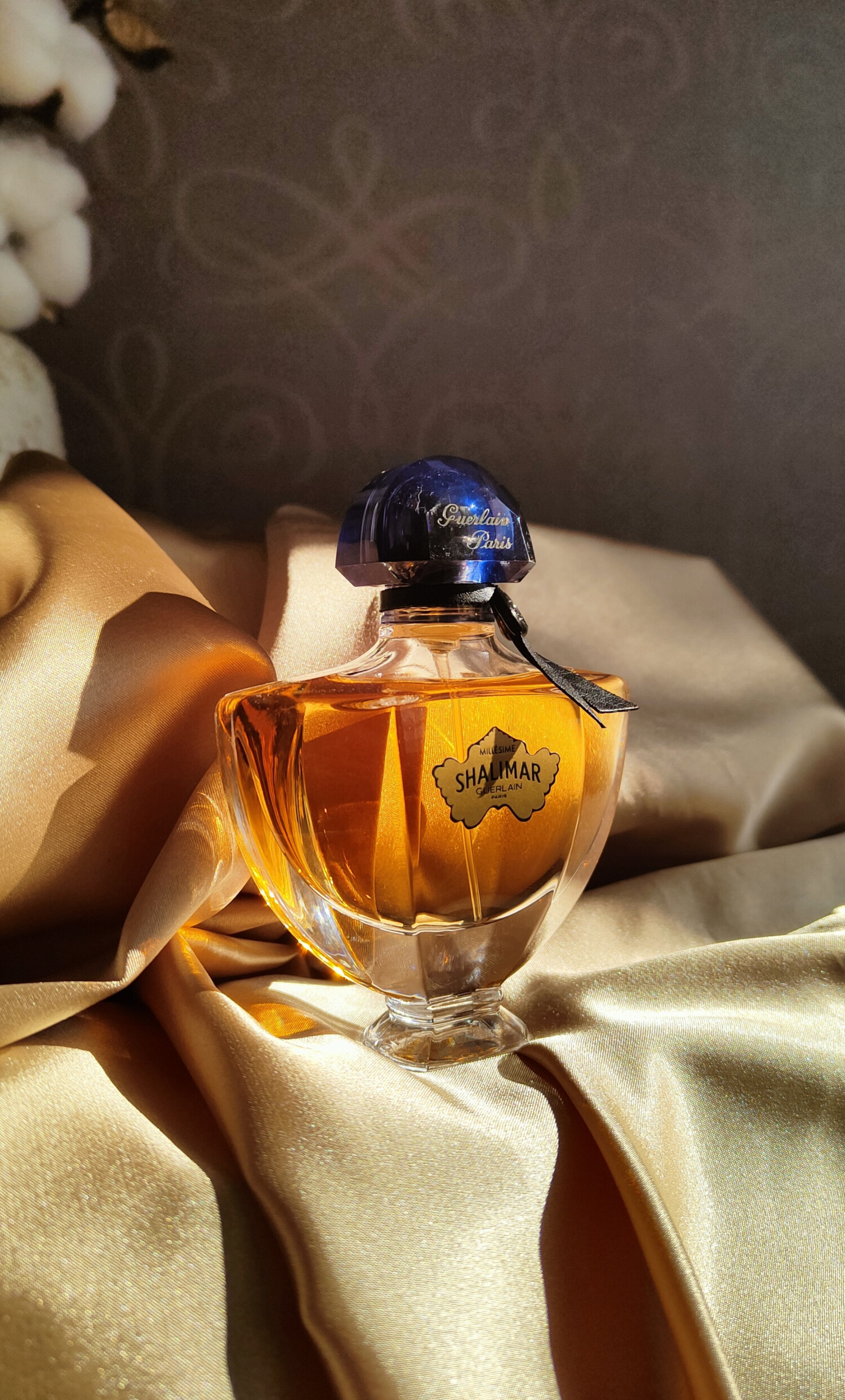 Shalimar Millésime Vanilla Planifolia Guerlain perfume - a fragrance ...