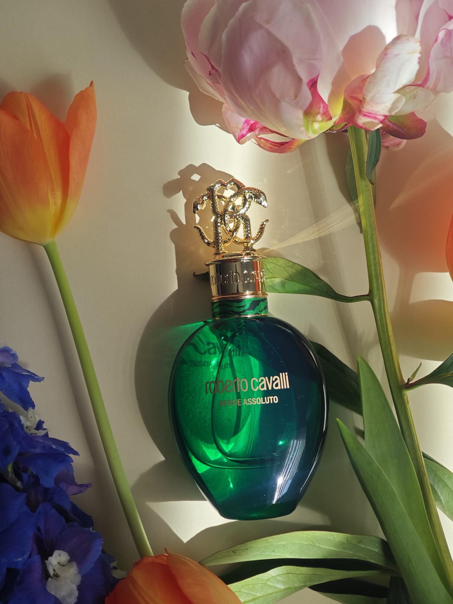Roberto Cavalli Signature Verde Assoluto Roberto Cavalli аромат — новый ...