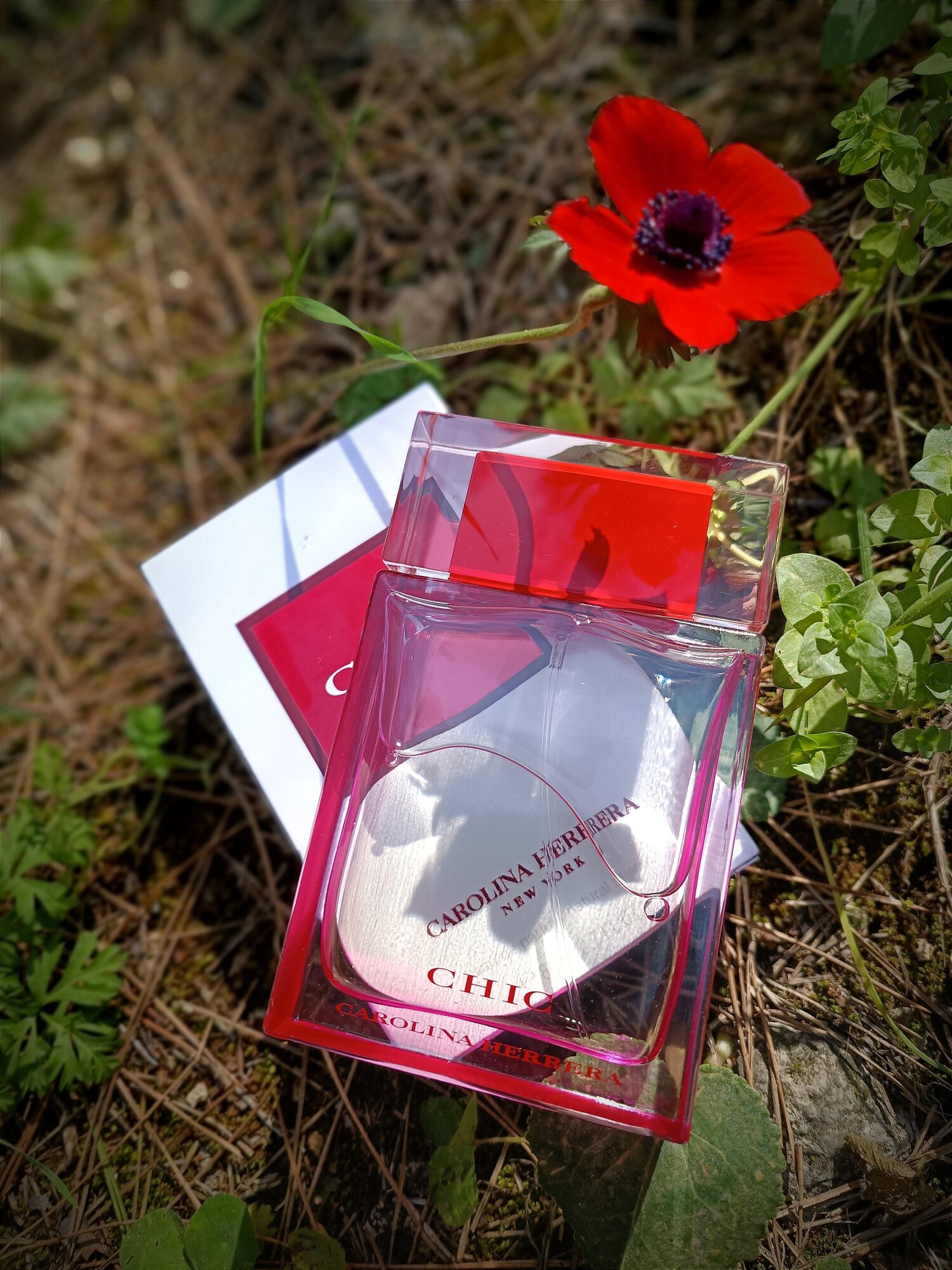 Chic Carolina Herrera perfume - a fragrance for women 2002
