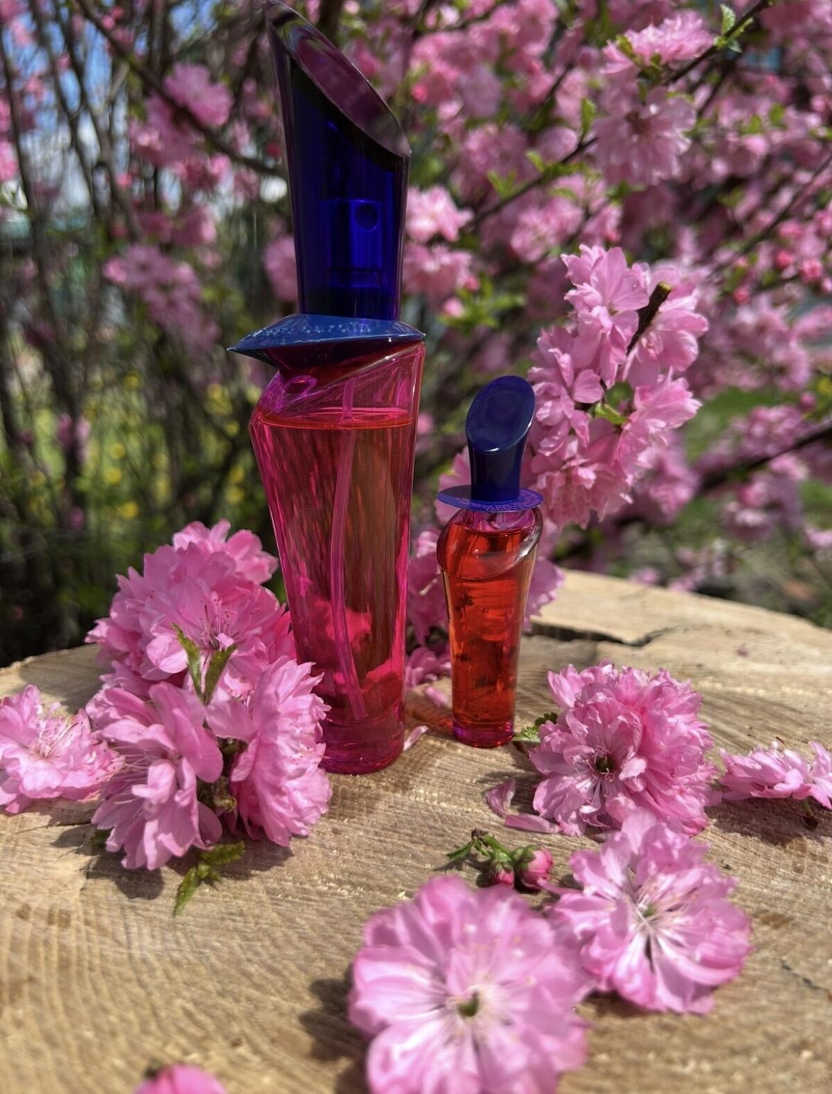 Rose by Cardin Pierre Cardin perfume - a fragrance for women 1990