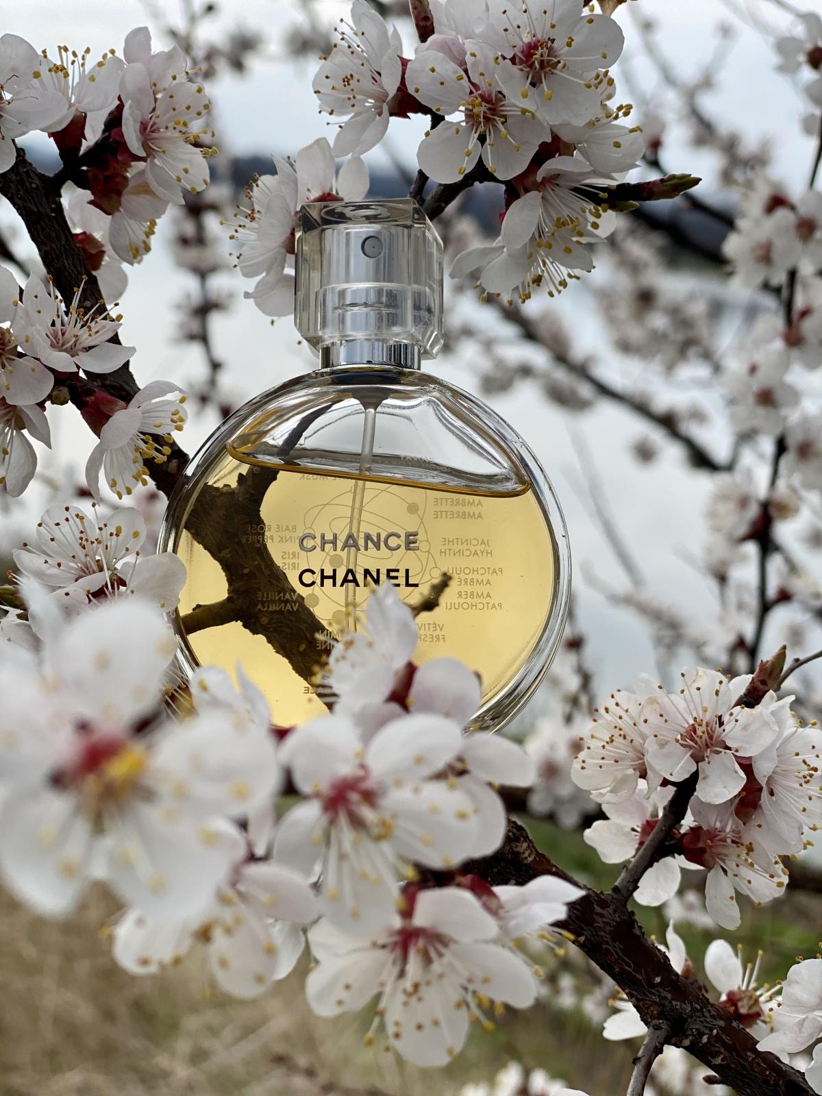Chance Parfum Chanel perfume - a fragrance for women 2003