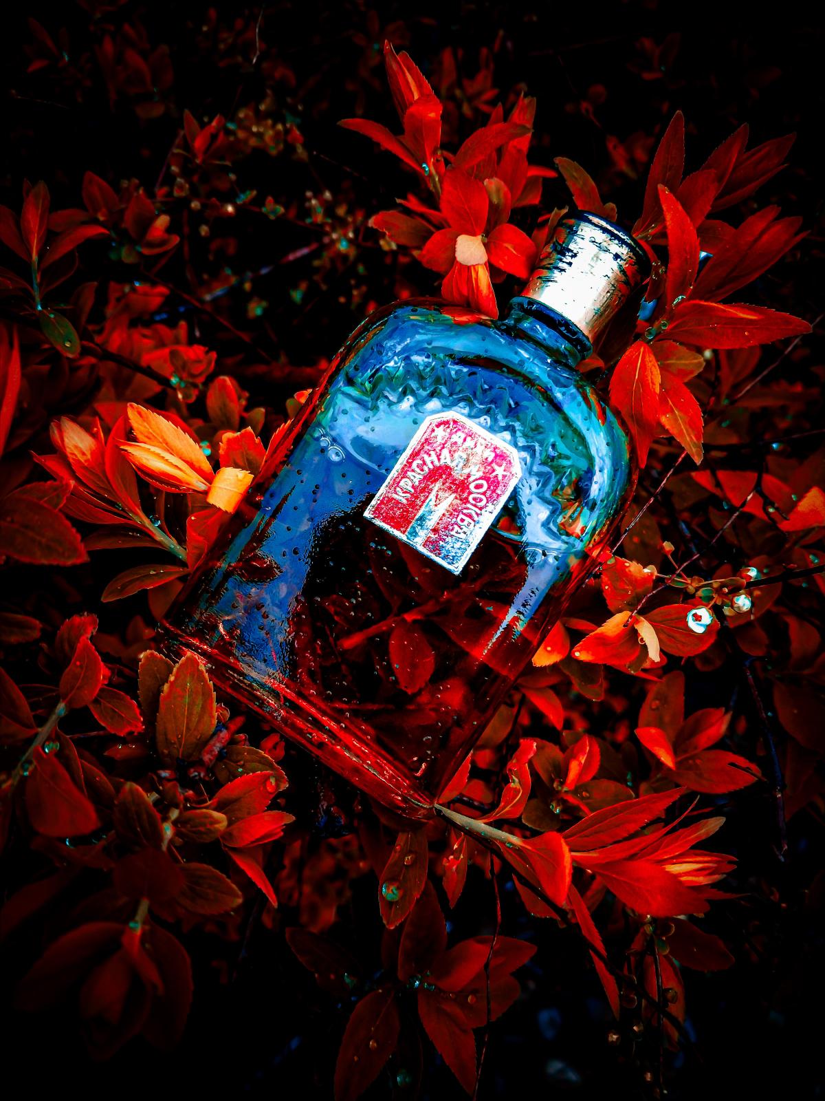 Красная Москва (Red Moscow) Новая Заря (The New Dawn) perfume - a ...