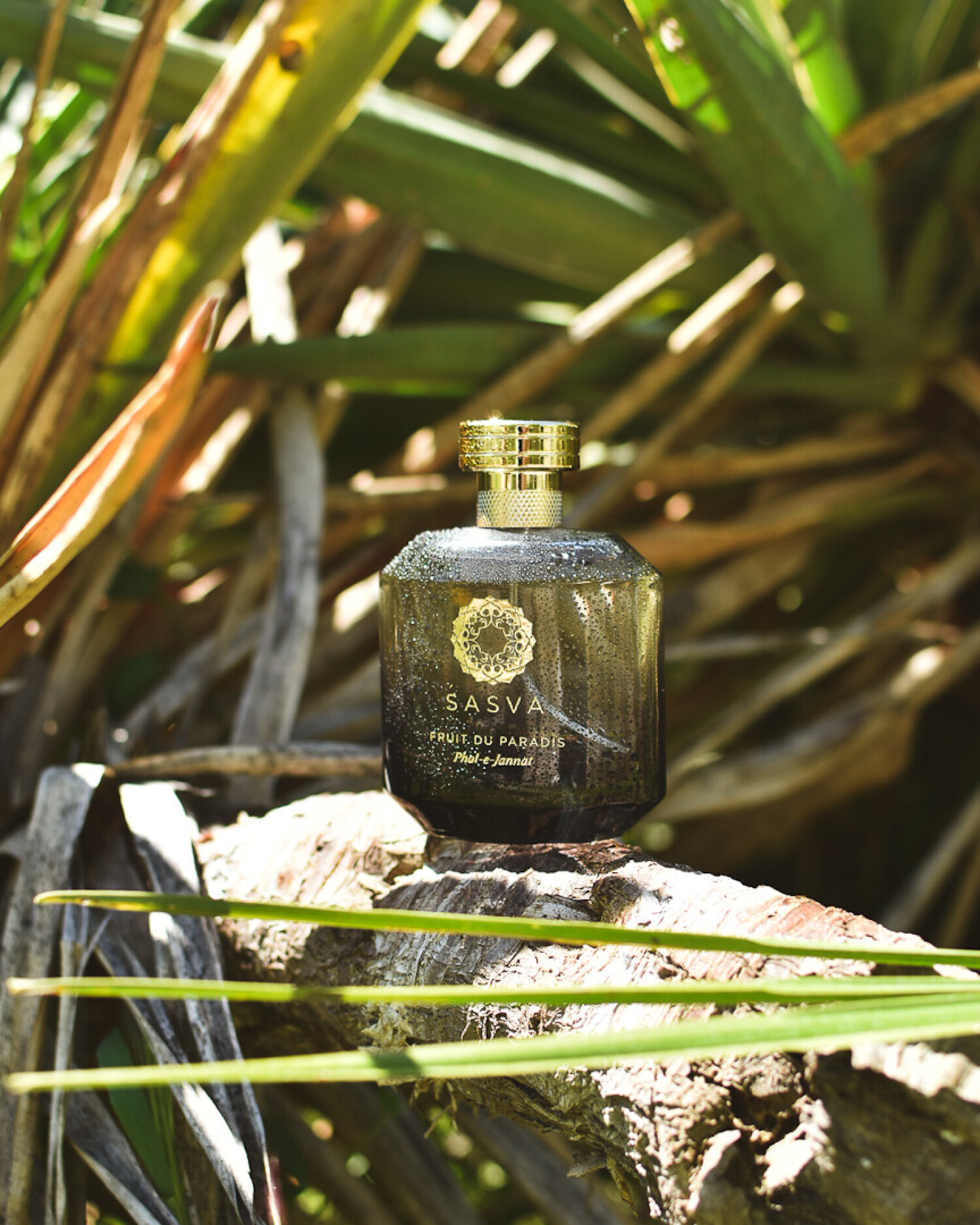 Fruit Du Paradis Phal-e-Jannat Sasva perfume - a fragrance for women ...