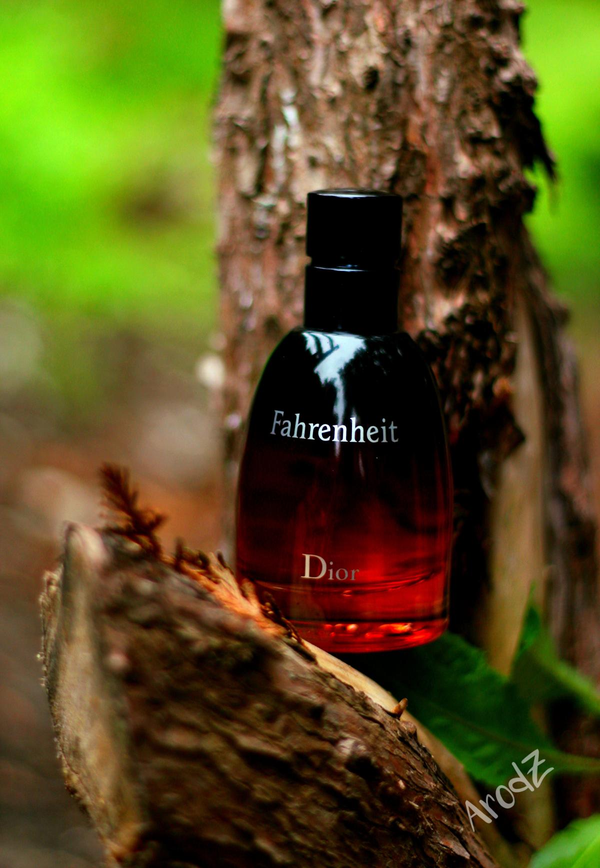 Fahrenheit Le Parfum Dior cologne - a fragrance for men 2014