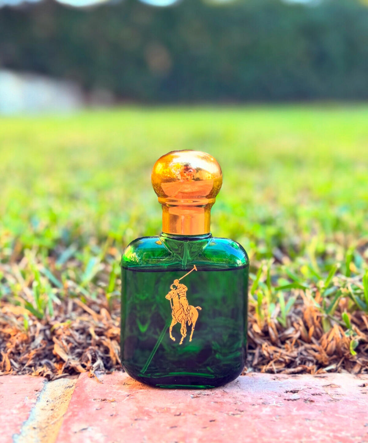 Polo Ralph Lauren cologne - a fragrance for men 1978