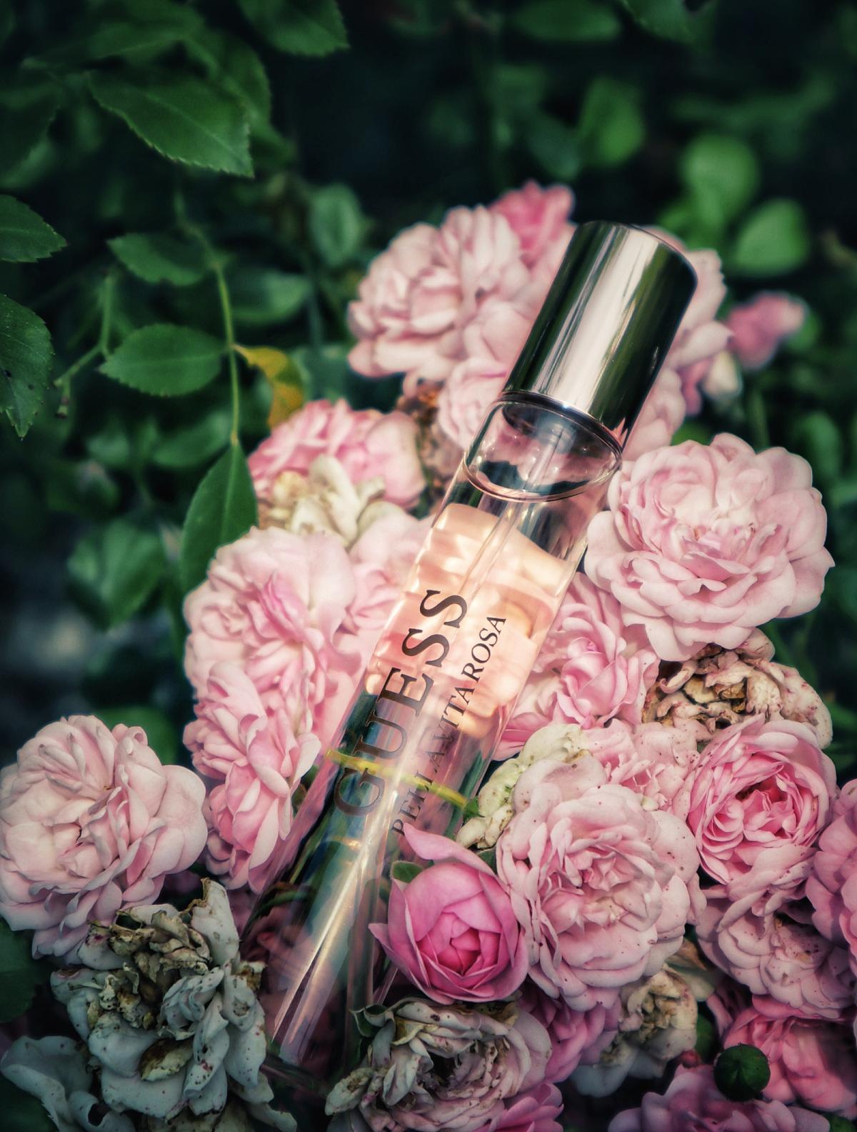 Bella Vita Rosa Guess perfume - a new fragrance for women 2022