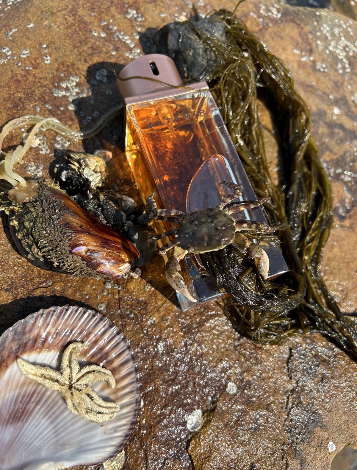 Altamir Ted Lapidus cologne - a fragrance for men 2007