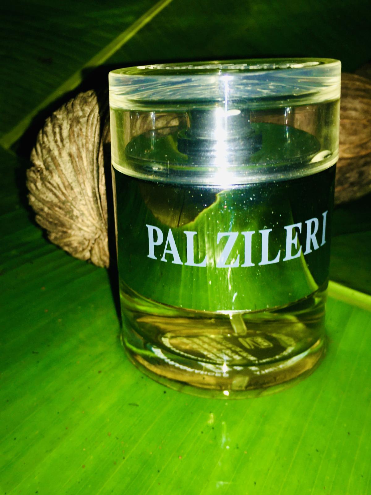 Pal Zileri Pal Zileri cologne - a fragrance for men 2002
