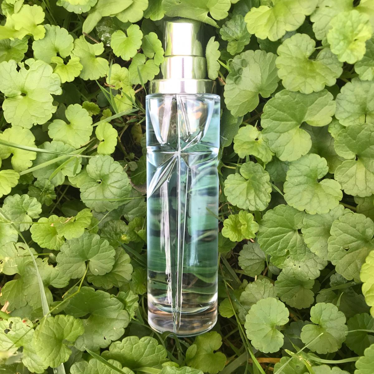 Innocent Mugler perfume - a fragrance for women 1998