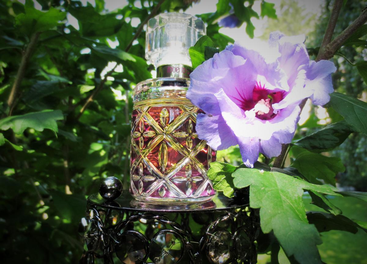 Florence Roberto Cavalli perfume - a fragrance for women 2017