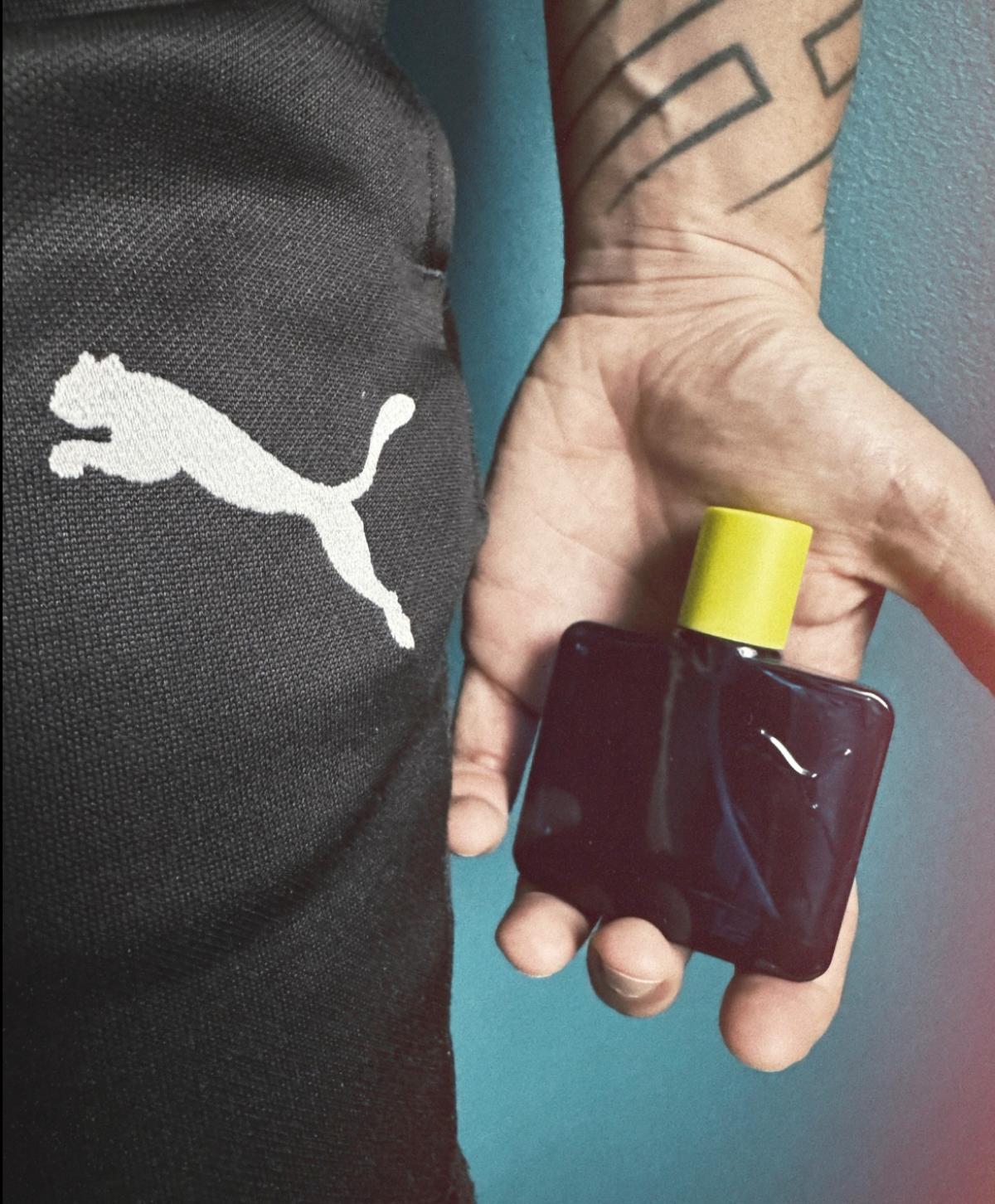 Animagical Man Puma cologne - a fragrance for men 2010