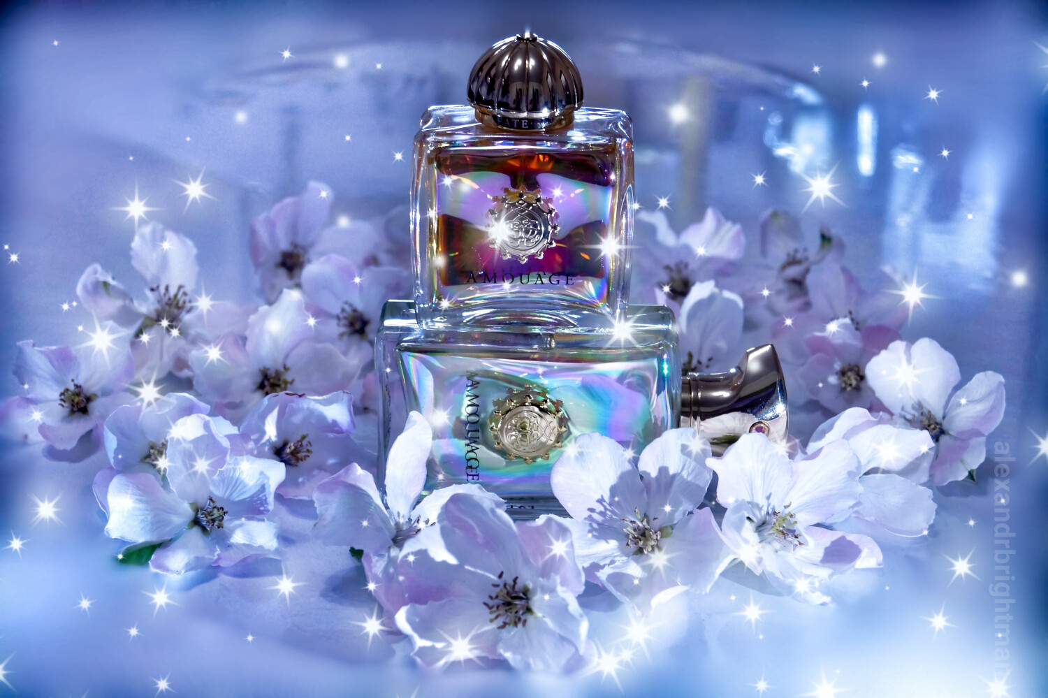 Fate Woman Amouage perfume - a fragrance for women 2013
