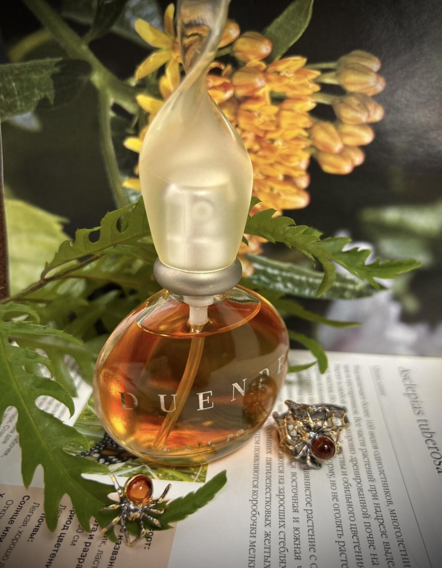 Duende Jesus Del Pozo perfume - a fragrance for women 1992