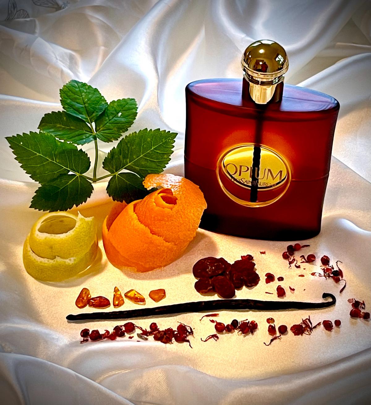 Opium Eau de Parfum 2009 Yves Saint Laurent perfume - a fragrance for ...