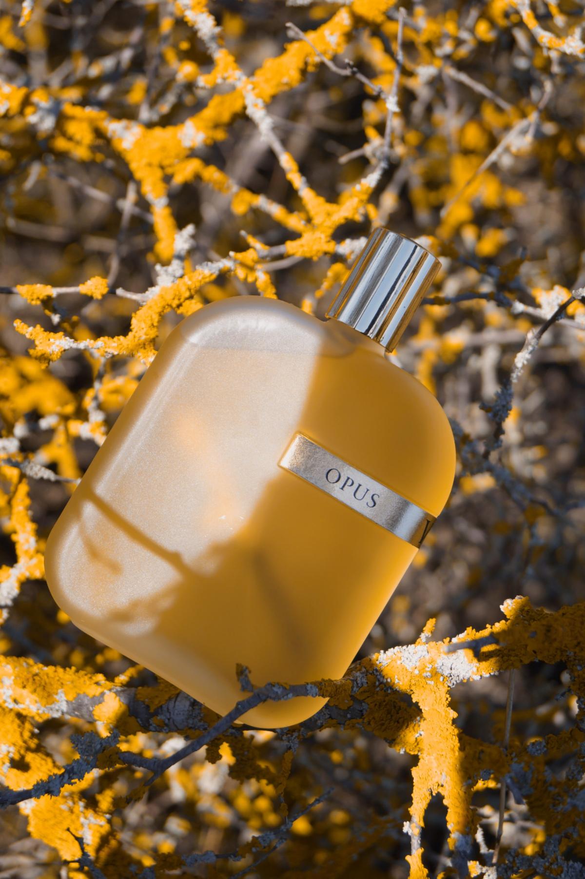 The Library Collection Opus VI Amouage perfume - a fragrance for women ...