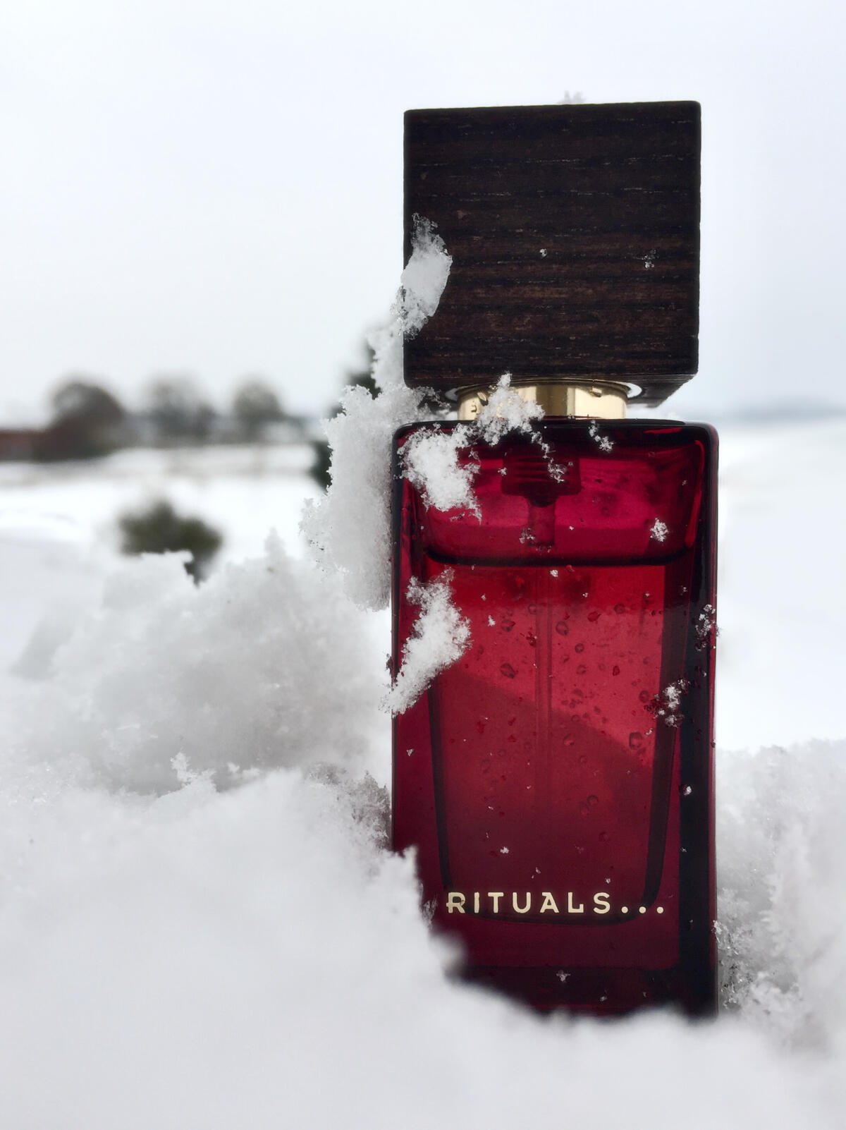 Eau d'Orient Rituals сүрчиг - a сүрчиг эрэгтэй эмэгтэй 2015