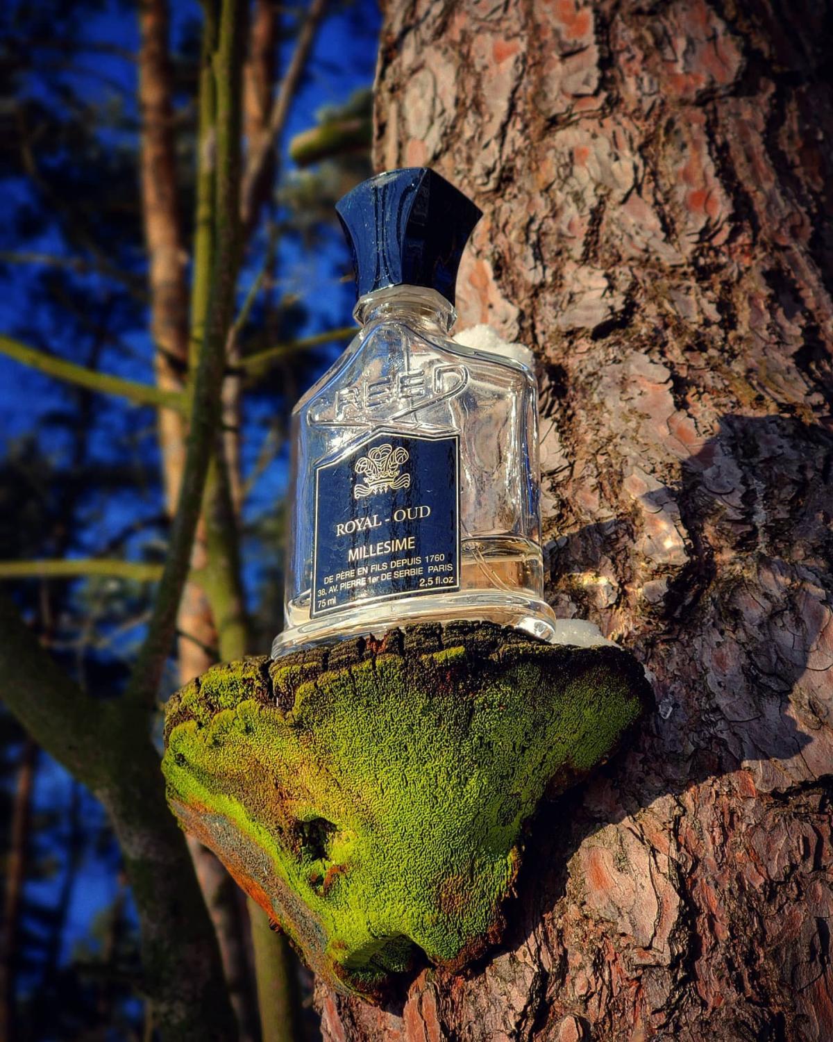 Royal Oud Creed perfume - a fragrance for women and men 2011