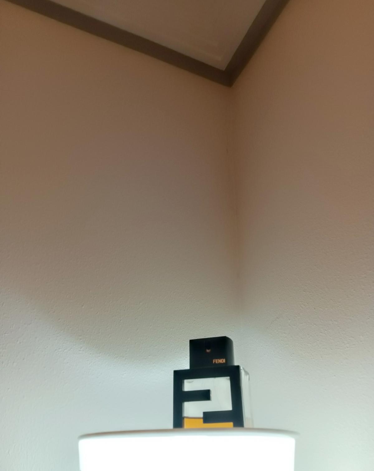 Fan di Fendi pour Homme Fendi cologne - a fragrance for men 2012