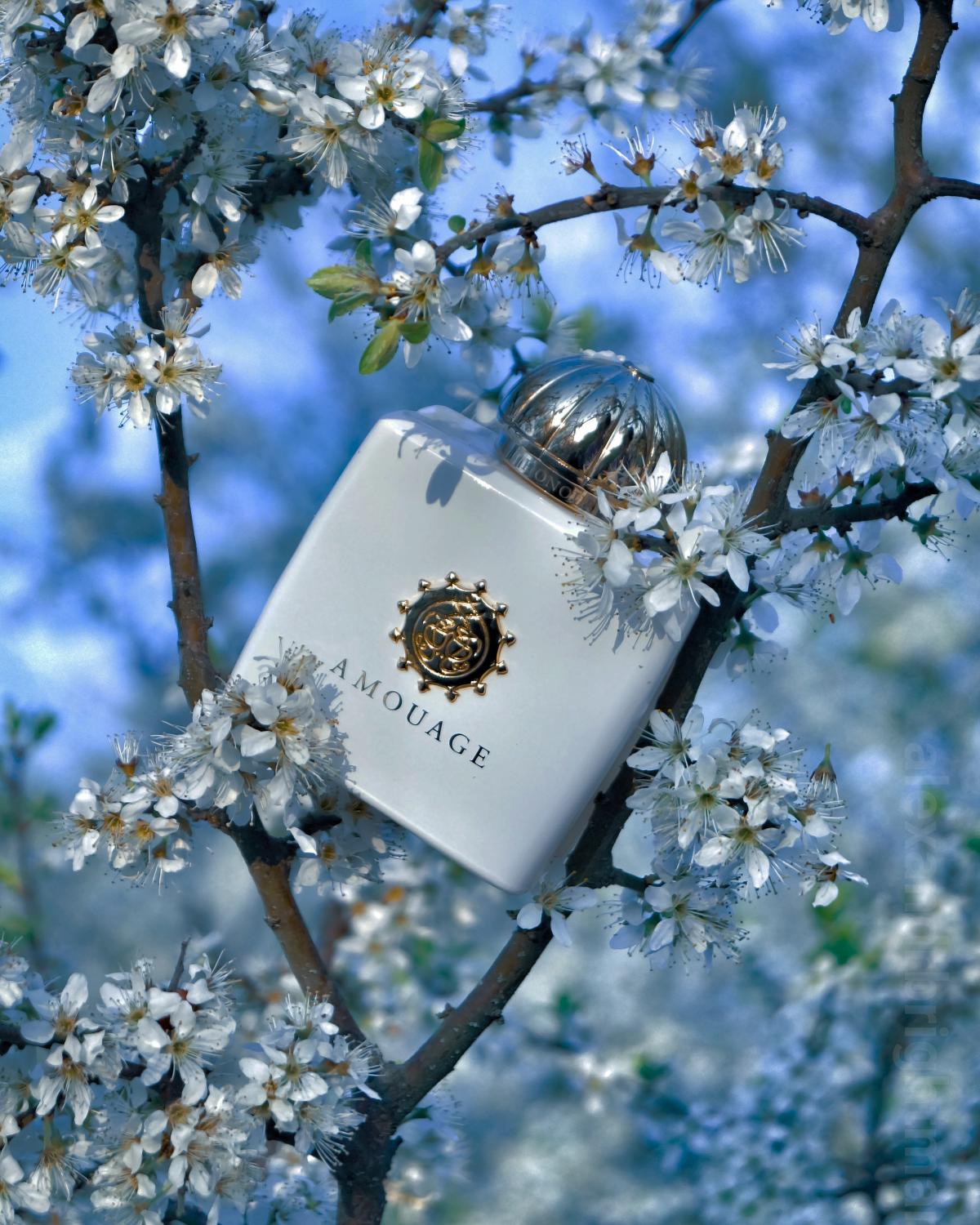 Honour Woman Amouage perfume - a fragrance for women 2011