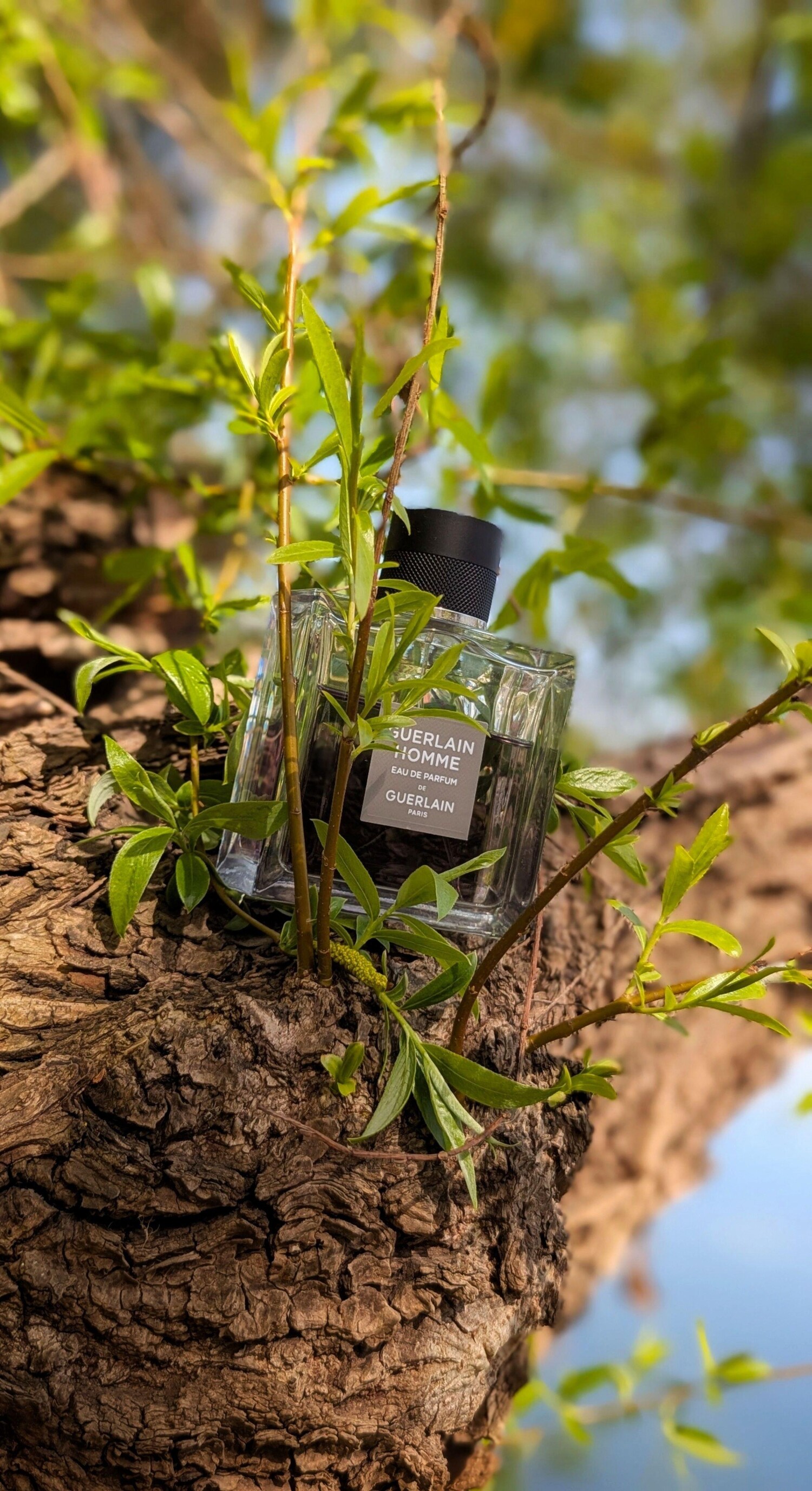 Guerlain Homme Eau de Parfum (2016) Guerlain cologne - a fragrance for ...
