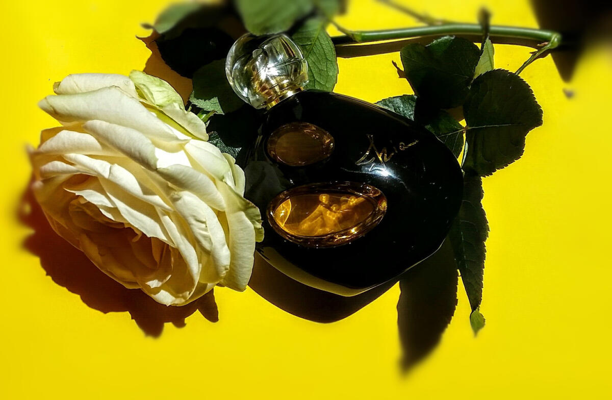 Izia La Nuit Sisley perfume - a fragrance for women 2021