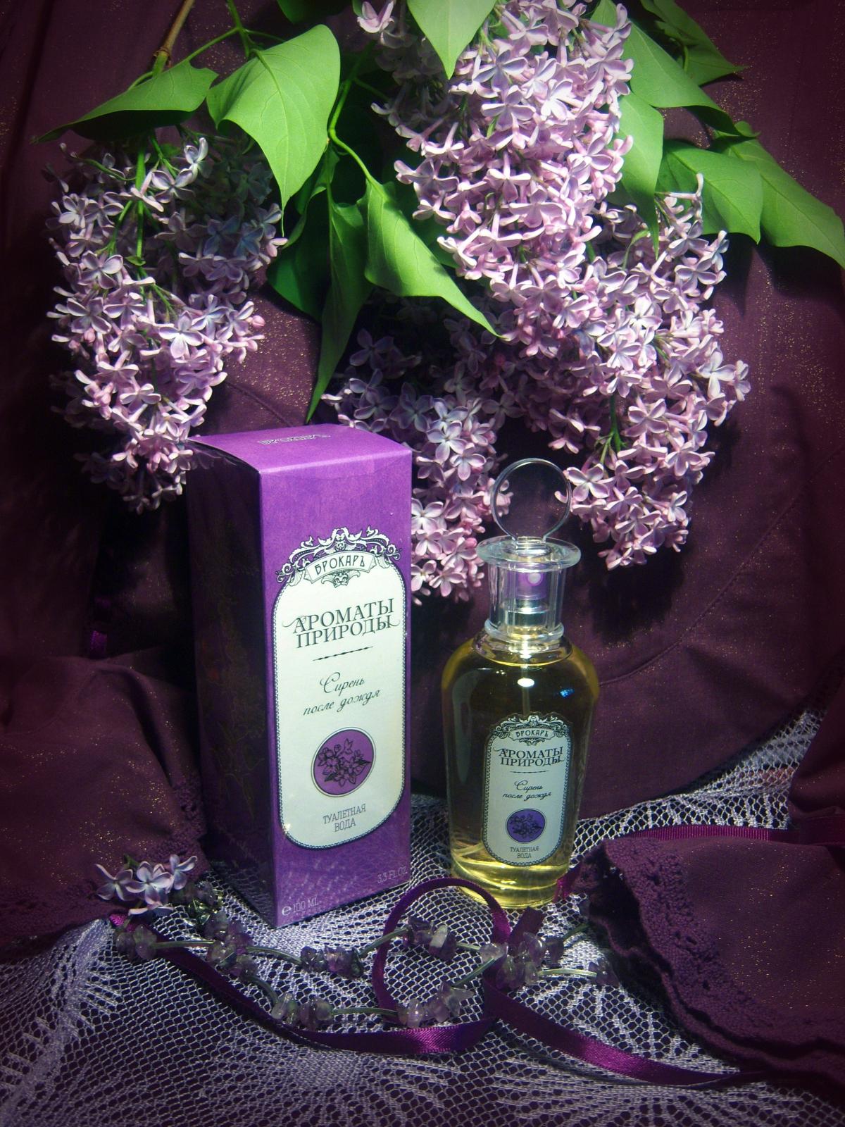 Сирень после дождя - Lilac After The Rain Brocard аромат — аромат для ...