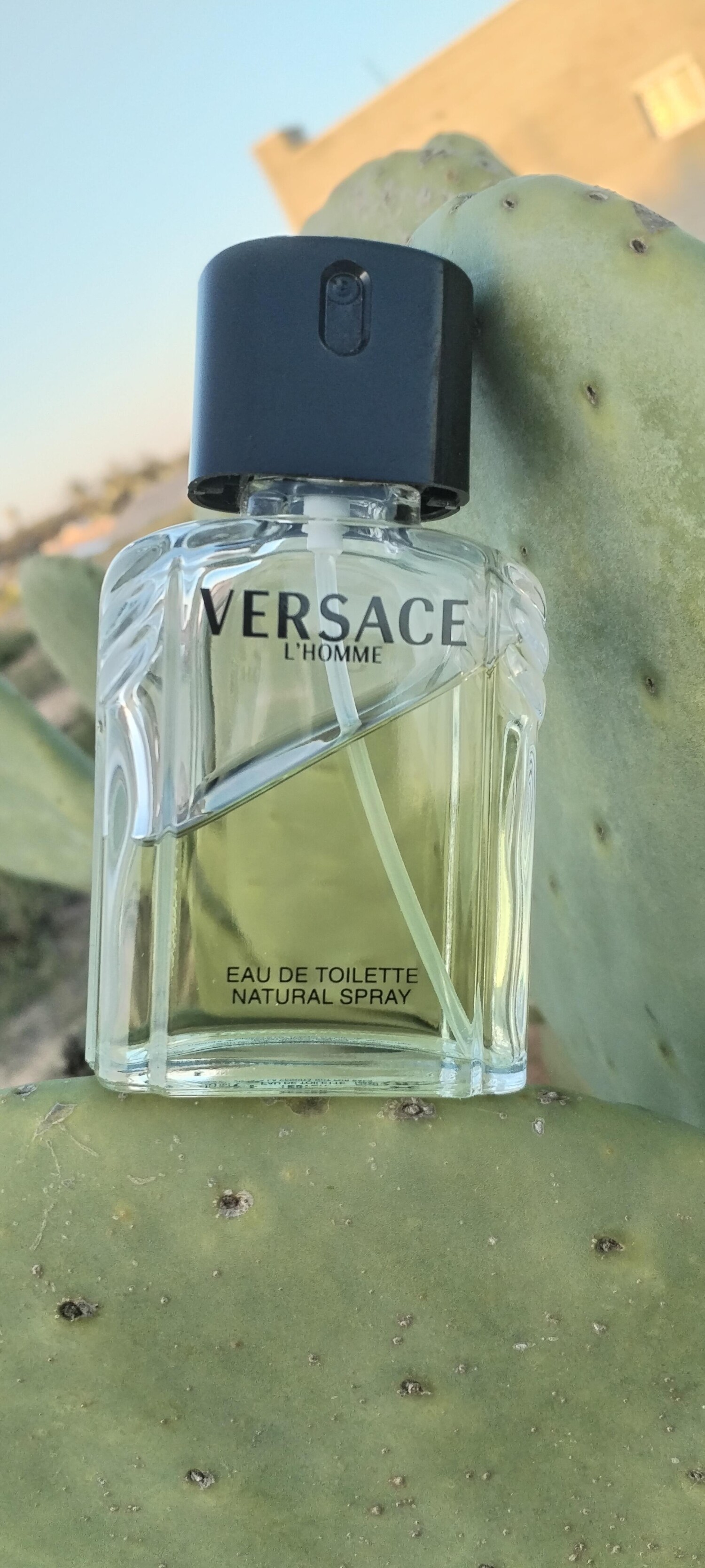 Versace L'Homme Versace cologne - a fragrance for men 1984