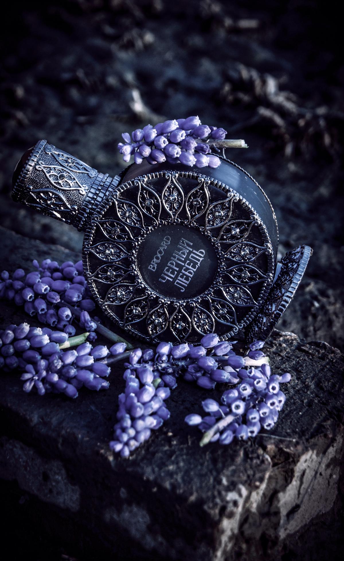 Black Swan (Черный лебедь) Brocard Parfum - ein es Parfum für Frauen 2019