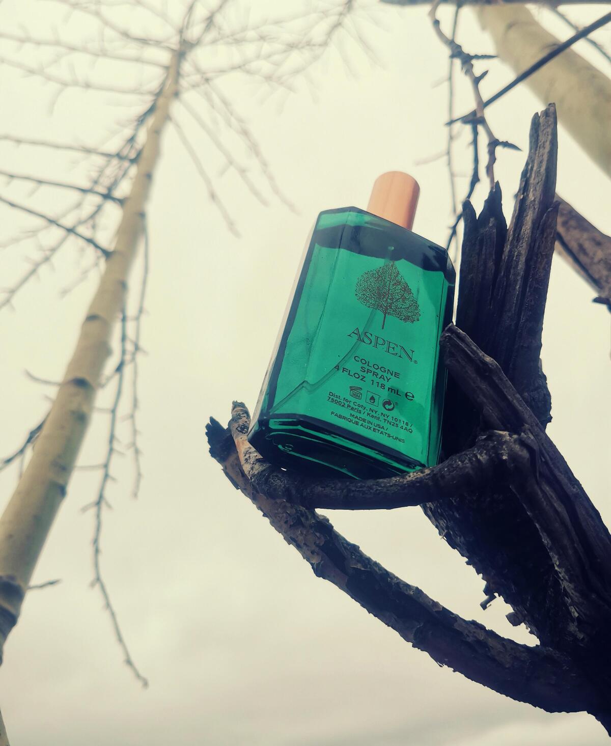 Aspen For Men Coty cologne - a fragrance for men 1989