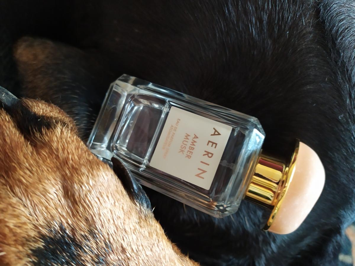 Amber Musk Aerin Lauder perfume - a fragrance for women 2013