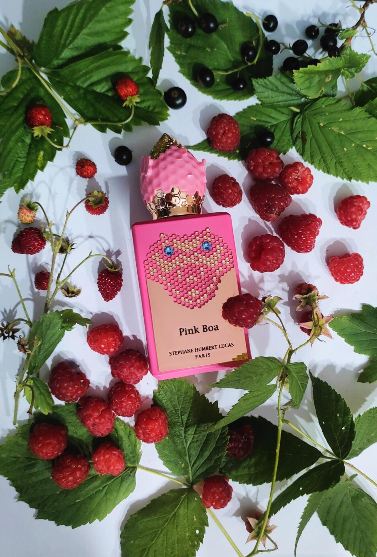 Pink Boa Stéphane Humbert Lucas 777 perfume - a new fragrance for women ...