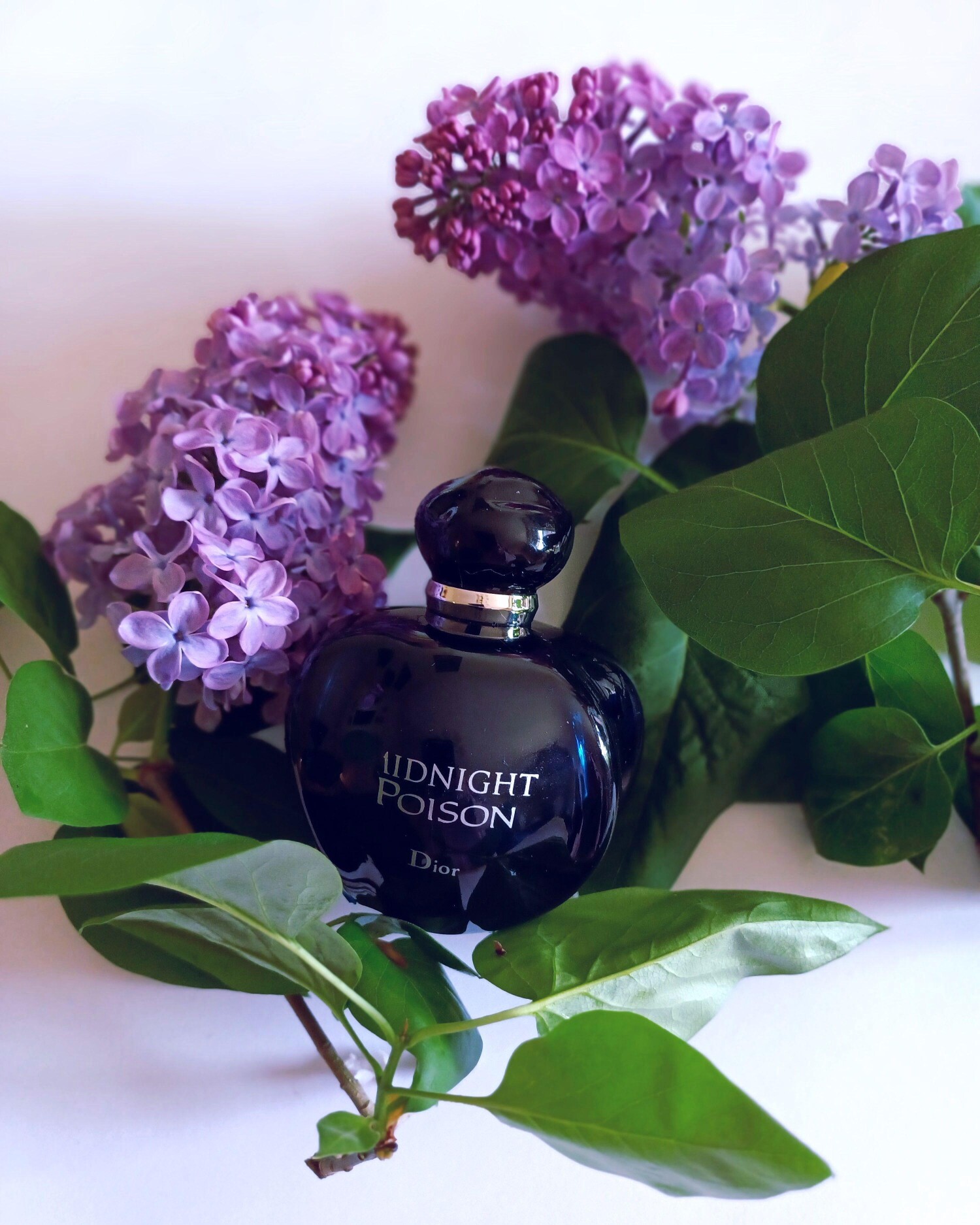 Midnight Poison Dior perfume - a fragrance for women 2007