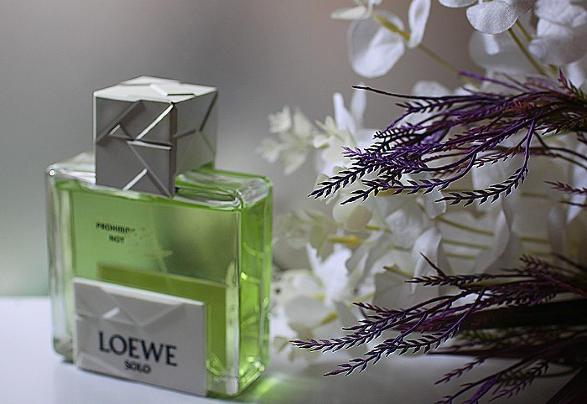 Solo Loewe Origami Loewe cologne - a fragrance for men 2018