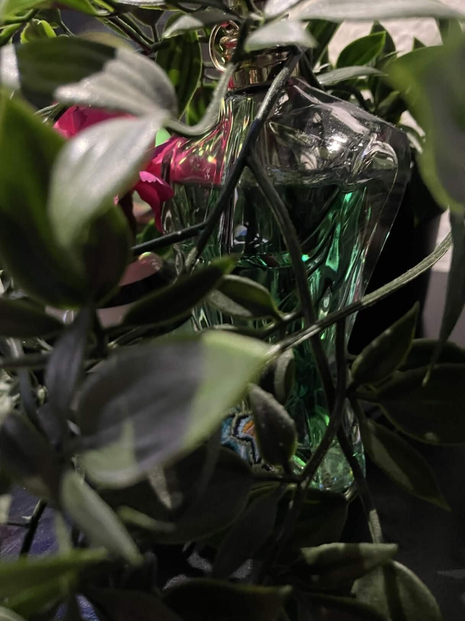 Le Beau Paradise Garden Jean Paul Gaultier cologne - a fragrance for ...
