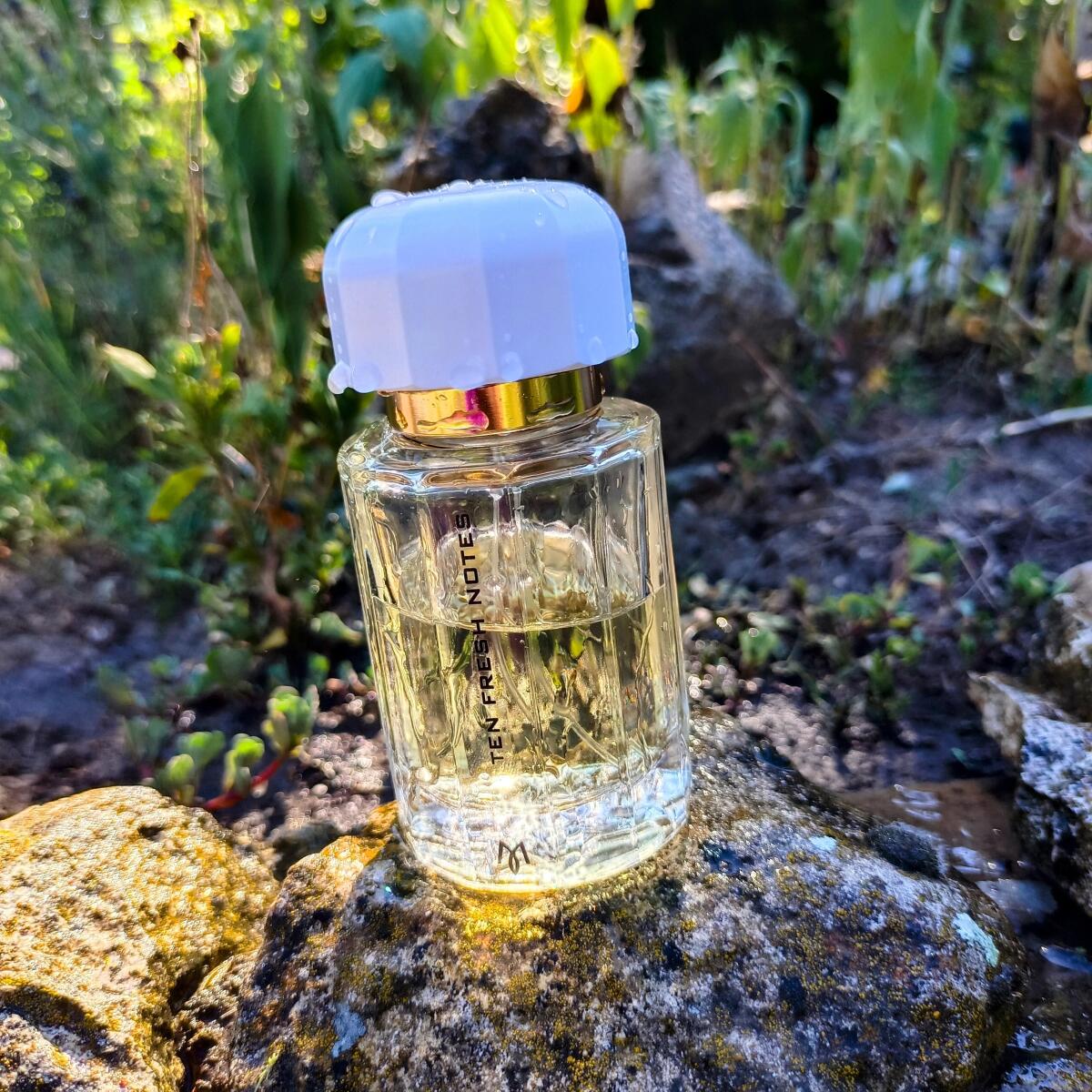 Ten Fresh Notes Ramon Monegal perfume - a fragrance for women and men 2022