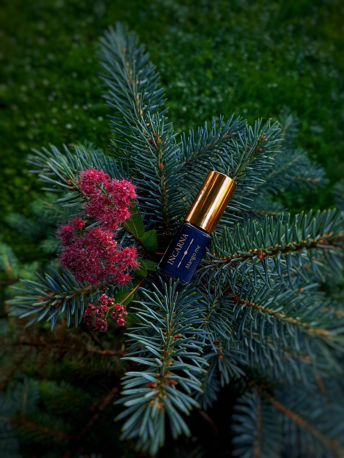 Mango me Incarna parfums fragancia - una fragancia para Hombres y ...