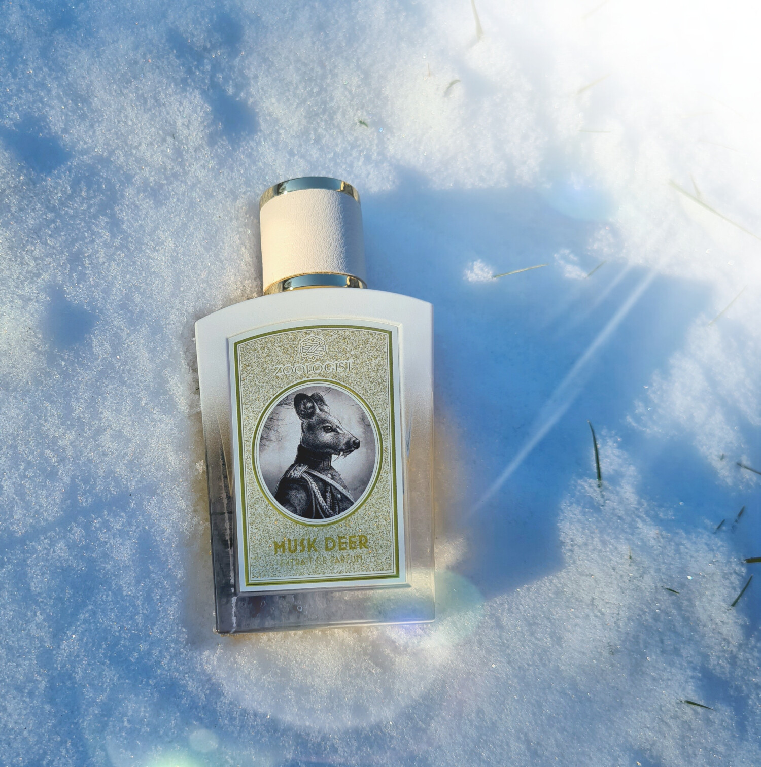 Musk Deer Zoologist Perfumes perfume - a fragrance for women and men 2020